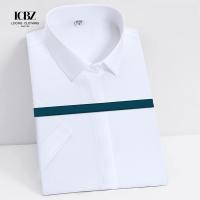 China Men's Classic Silk Bamboo Fiber Dress Shirt Non-Iron Office Shirt Standard Fit S-10XL for sale