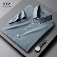 China Non-Ironing Men's Ice Silk Business Formal Short-Sleeved Shirt Sizes Up to 10XL for sale