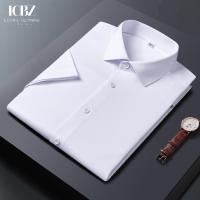 China Solid Pattern Antibacterial Quick Drying Men's Regular Fit Short Sleeve Dress Shirt for sale