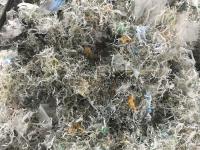 China LDPE Plastic Recycling Washing Line 2000kg H Pet Bottle Recycling Line for sale