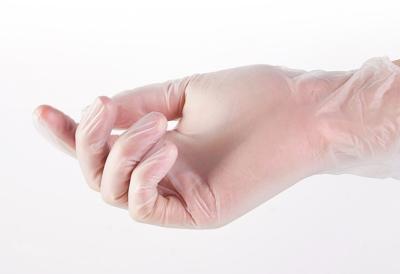 China Plastic Vinyl Examination Multi Purpose Disposable Pvc Gloves For Household Duties. for sale