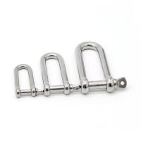China Galvanized Stainless Steel Key Pin Shackle 0.5mm-50mm D-Shackle for Marine and Industrial Use for sale