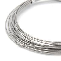 China 304 Stainless Steel Wire - 2mm & 3mm Diameter Options with Superior Corrosion Resistance for Industrial Applications for sale
