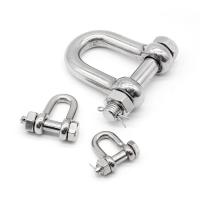China Ss304 316 Bolt D Type Shackle For Connection And Fastening for sale