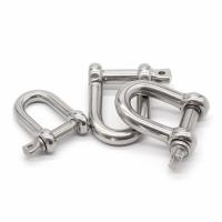 China Japanese Style Stainless Steel D Shackle - Marine Grade Corrosion Resistant Industrial Rigging Hardware in Multiple Sizes for sale