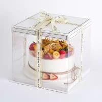 China Square Plastic Cake Box for sale