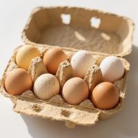 China Convenient Rectangular Egg Dispenser Container For Stackable Organization for sale