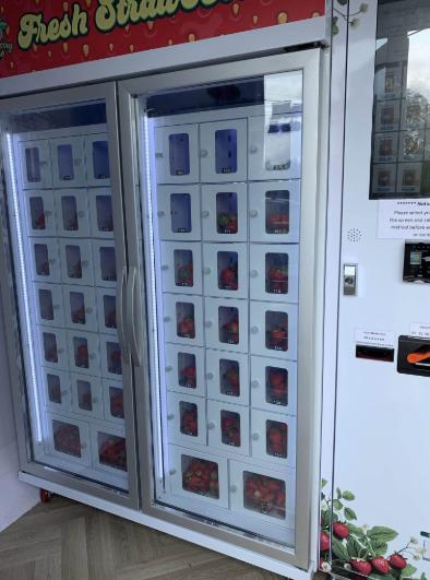 Refrigerated Strawberry Vending Machine