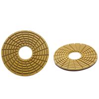 China 10inch 250mm Dry Resin Concrete Polishing Pads Color Customized for sale