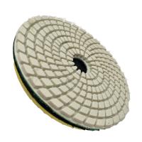 China Diamond Dry Concrete Polishing Pads Grit 50 Grit 100 With Water Mill for sale