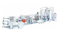 China 0.2mm Pet  Twin Screw Sheet Extruder Line Programmable for sale