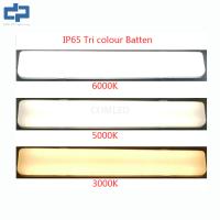 China IP65 600mm Led Batten Light 3 Color Changeable Emergency 20w LED Batten Light for sale