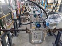 China Make Flow Error Free Coriolis Mass Flowmeter Perfect Combination Of Precision And Efficiency for sale