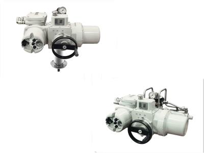 China Segmented speed control 220v Electric Actuator Complete self diagnosis for sale