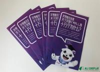 China 210mm Instruction Booklets Manual Book PSD Folded Leaflet for sale
