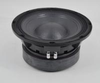 China Double Magnet 10 Inch Woofer Speaker for sale