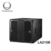 China Double 10 inch line array speaker 10 inch neodymium speaker  line array LA210 for sale