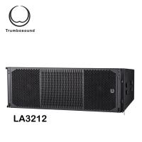 China 21 inch subwoofer double subwoofer for line array system for sale
