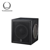 China Active subwoofer box 10 