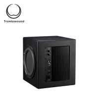 China Active subwoofer box 10 