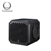 China 12 inch active bass loudspeaker home theater speaker indoor subwoofer speaker TR12BA for sale