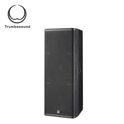 China Dual 15 inch outdoor speaker full range stage speaker 2-way 15 inch speaker with two 15 inch TR215 for sale