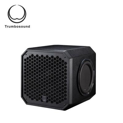 China Top quality loudspeaker 12 inch active bass  home theater speaker indoor subwoofer speaker TR12BA for sale