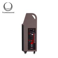 China 20KHz 95dB 10 Inch Trolley Active Pro Speaker For Tour Guide for sale