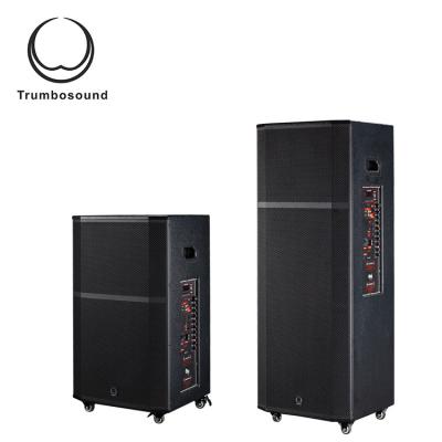 China 15 Inch Multifunction Mobile Speaker With Wheels Guitar Trolley Loudspeaker for sale