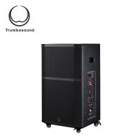 China Bluetooth Multifunction Mobile Speaker 15 Inch Two Way Loudspeaker Wifi Loudspeaker for sale