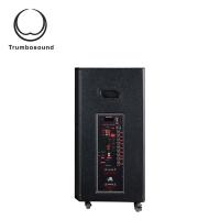 China Bluetooth Multifunction Mobile Speaker 15 Inch Two Way Loudspeaker Wifi Loudspeaker for sale