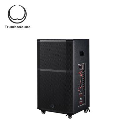 China 12 Inch Trolley Portable Speaker With Wheels Wifi Loudspeaker for sale