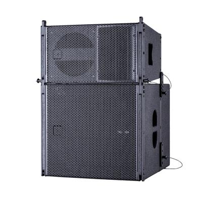 China Polyurea Paint Line Array Cabinet Professional Audio Box for sale