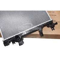 China Automotive Radiator HG9Z8005A HG938005AB HG938005AA Car Engine Radiator for Ford New Mondeo 2017 2.0 for sale