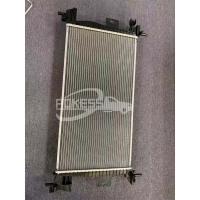 China BV618005AD 1727475 ED818005AE 717053 CV6Z8005A ED818005AD Car Heating Radiator  Water Tank for Ford Focus 12/Escort for sale