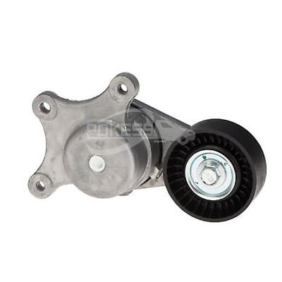 China Belt Tensioner Pulley  BT4Z6B209B BT4E6B209CD 7T4Z6B209AA 8T4Z6B209A 7T4E6B209EC BT4E6B209CC for sale