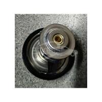 China 1X4Z8575EB 1X4E8575FB 1X4Z8575A 1X4E8575FC RT1228 1X4Z8575B 1X4E8575AA 1X4Z8575FA Thermostat for Ford Edge/Explorer 3.5 for sale