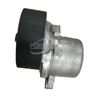 China BR3Z6B209E BT118 BR3E6B209EE 5233310 Belt Tensioner Pulley For Ford Raptor 2015-2017 3.5 for sale