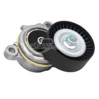 China BR3Z6B209E BT118 BR3E6B209EE 5233310 Belt Tensioner Pulley For Ford Raptor 2015-2017 3.5 for sale