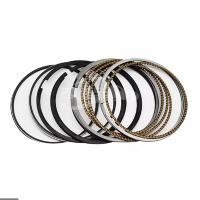 China CJ5G6148AA DS7G6148AA Ford Engine Parts Piston Rings For Ford Ecosport 13 1.6 for sale