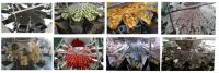 China Multi Language Peanut Multihead Weigher Packing Machine for sale