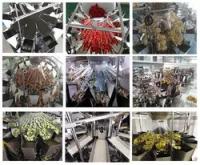 China Multi Function Tomato Fruits Weighing And Packing Machine With Multihead for sale