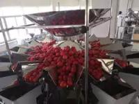 China Nut And Snack Food 14 Head Multihead Weigher Combination Scale Packing for sale