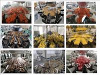 China CE Certification 10 Heads 2.5L Multihead Weigher Combination Scale Cheese for sale