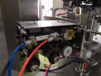 China Plantain Dried Fruit Automatic Rotary Packing Machine 100g 1000g Weighing for sale