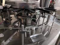 China Plantain Dried Fruit Automatic Rotary Packing Machine 100g 1000g Weighing for sale