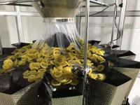 China SS304 Frame Dimple Surface 2.5L Hopper Multihead Weigher For Frozen Fruit for sale