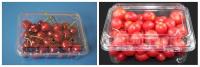 China Vegetables Fruits Salad Plastic Container Packaging Machine for sale