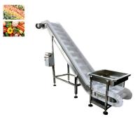China Vegetable Fruit Frozen Food Inclined Conveyor Automatic Belt Chain Conveying for sale