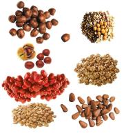 China 10 Heads Premade Pouch Doypack Packing Machine For Nuts Bean Grain Dry Fruits for sale